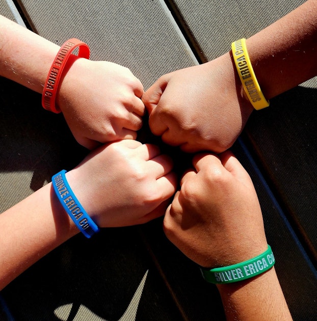 PB4L | Katikati Primary School